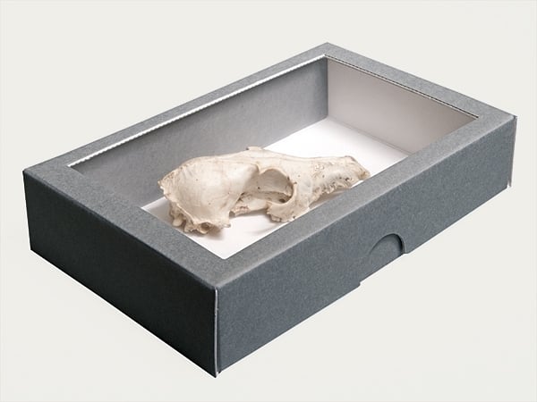 Two-piece boxes - KS 16 with top window - KLUG-CONSERVATION